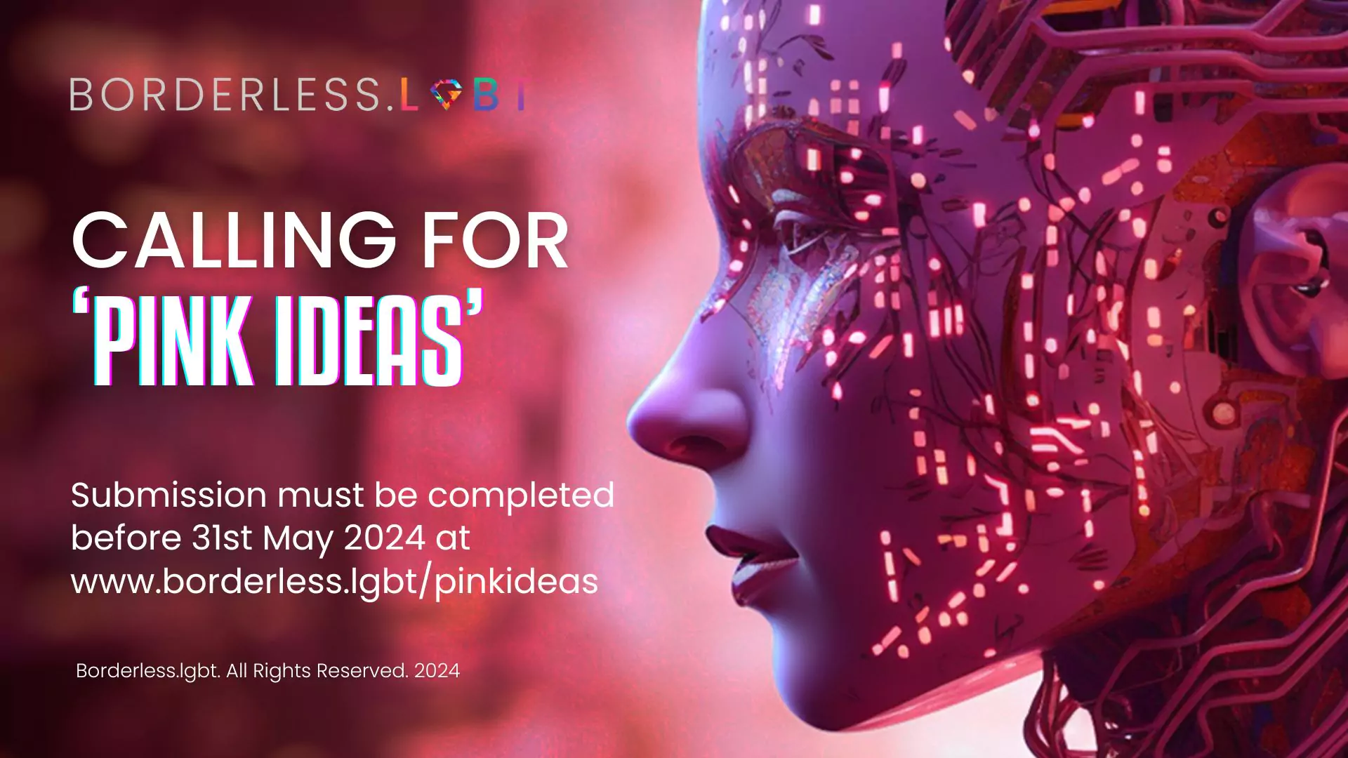 Borderless.lgbt - Call for 'Pink Ideas'!